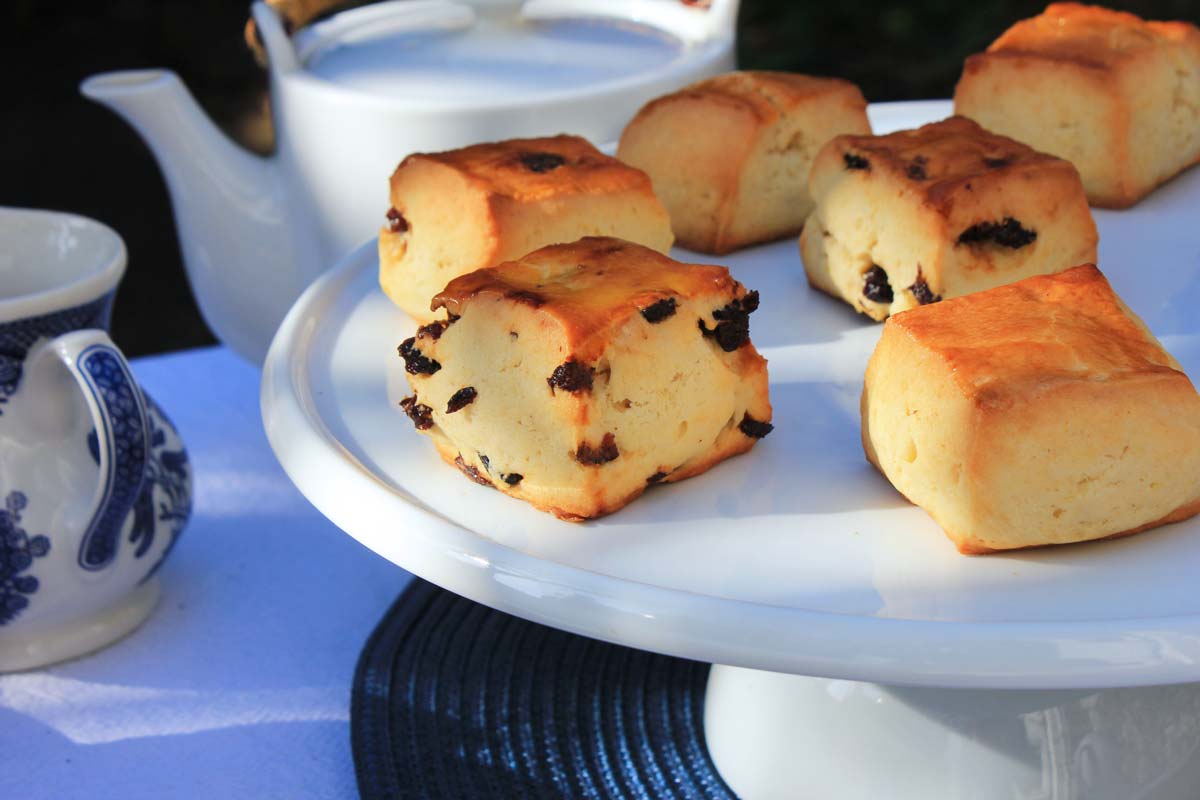 Bluto | Pack of 8 classic & raisins mini-scones